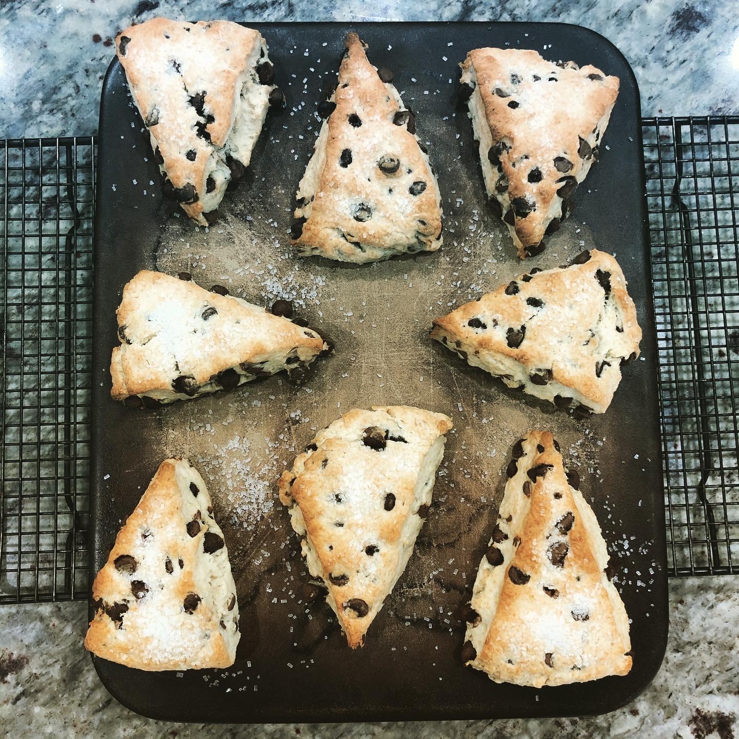 Bakery Style Cream Scones with Milk Chocolate | Penny's Food Blog