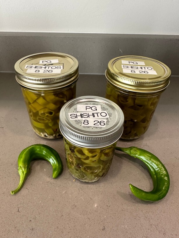 Pepper Geek’s Pickled Shishito Peppers | Penny's Food Blog